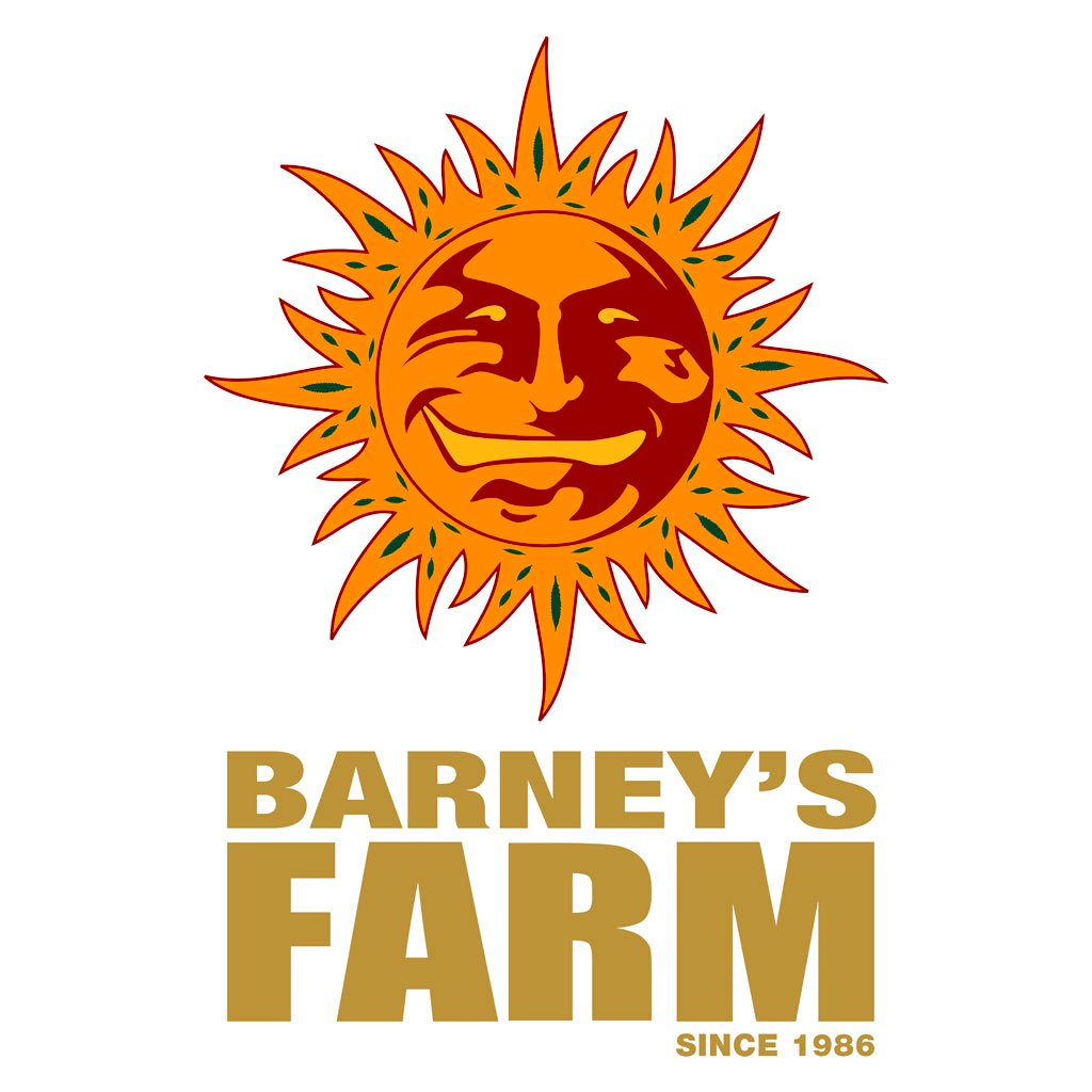 OG KUSH FEM – Barney’s Farm - Offerta Lampo: Sconti Fino al 50% su ...